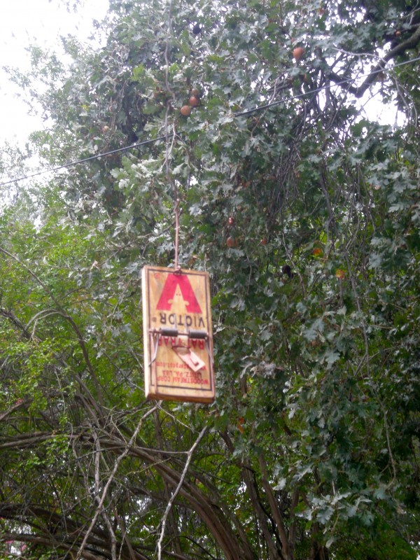 Kaweah Post Office | Sierra Nevada Geotourism