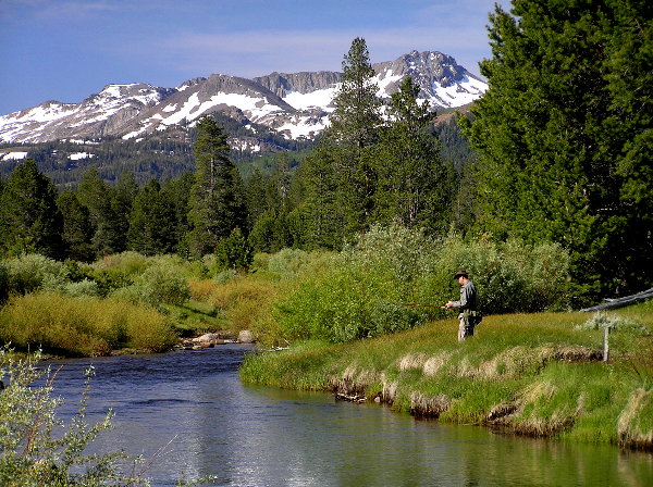 Carson River Resort | Sierra Nevada Geotourism