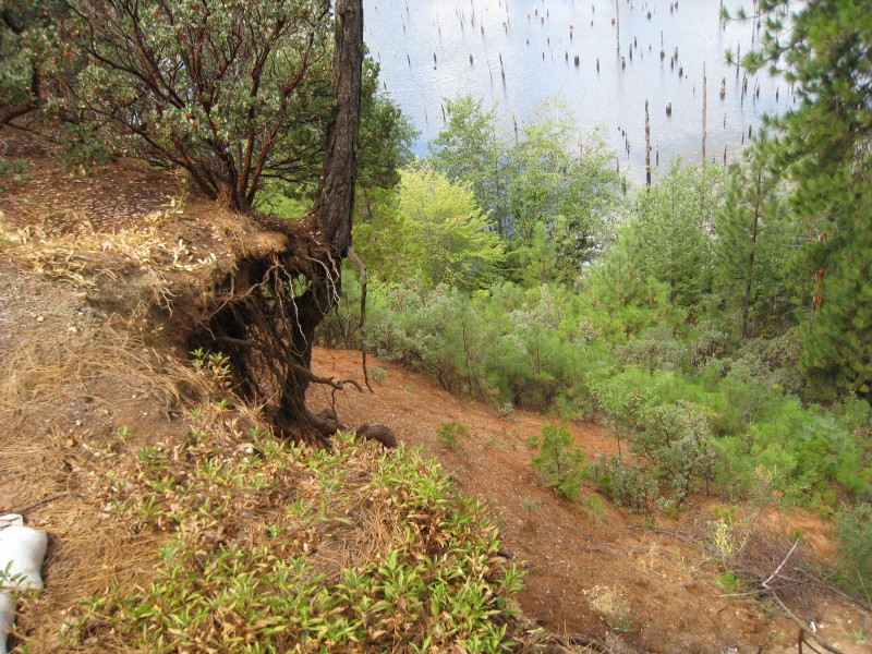 Gold Run and Dutch Flat - The Wake of Hydraulic Mining | Sierra Nevada ...