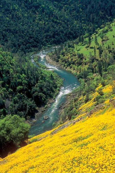 Whitewater Rafting on the American River | Sierra Nevada Geotourism