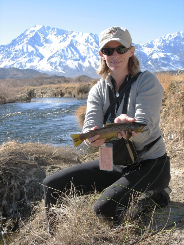 Owens River Gorge, Pleasant Valley Reservoir and Owens River | Sierra ...