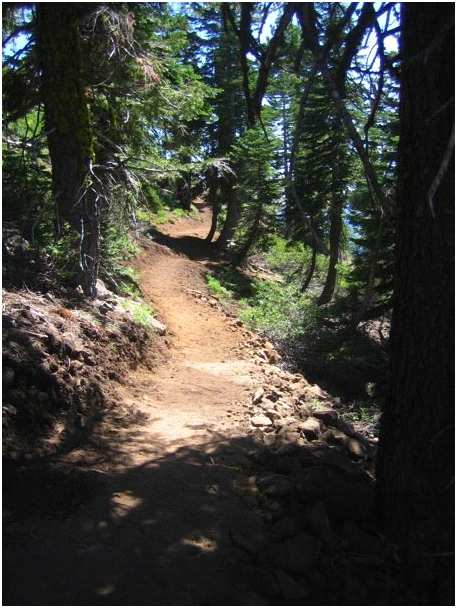 Donner Lake Rim Trail | Sierra Nevada Geotourism