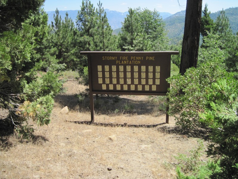 Penny Pines Program on the Kern River Ranger District of the Sequoia ...