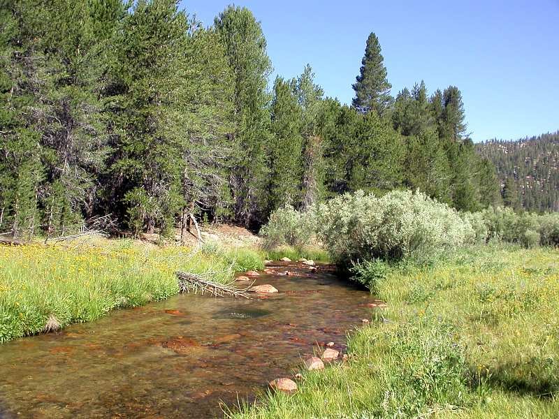 Kern Plateau, Sequoia National Forest | Sierra Nevada Geotourism