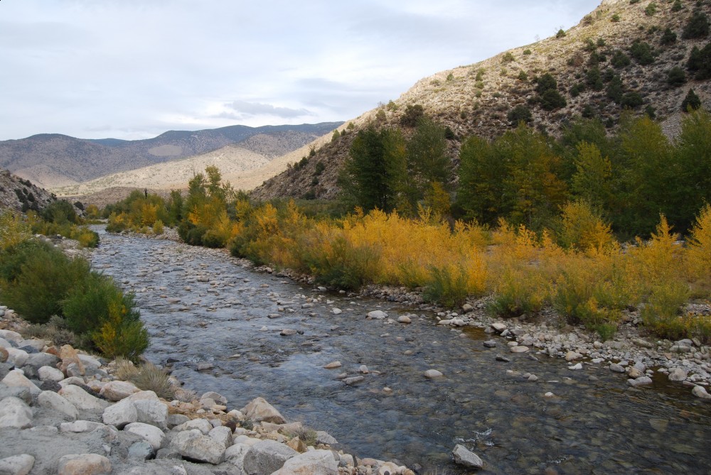 West Walker River | Sierra Nevada Geotourism