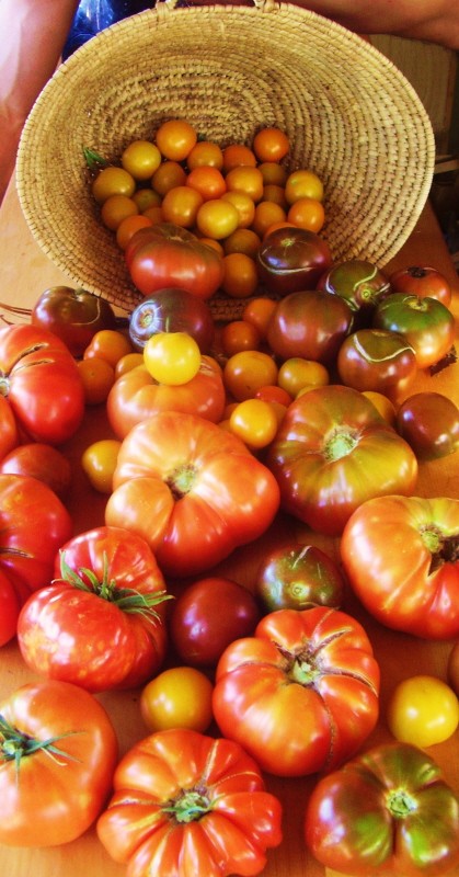 Motherlode Harvest Cooperative | Sierra Nevada Geotourism