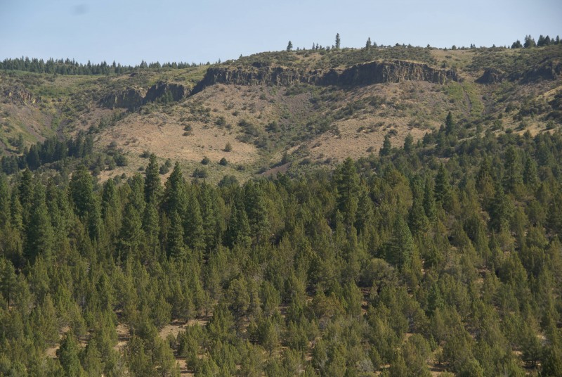 North Warner Tour, Modoc National Forest | Sierra Nevada Geotourism