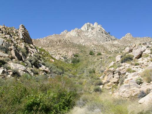 Short Canyon Area of Critical Environmental Concern | Sierra Nevada ...