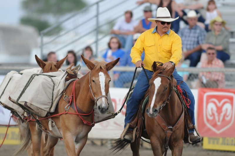 Bishop Mule Days Celebration | Sierra Nevada Geotourism