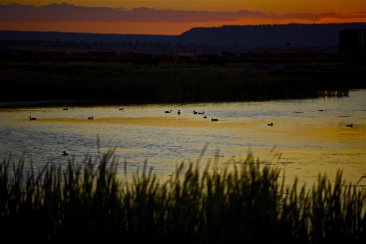 Modoc National Wildlife Refuge | Sierra Nevada Geotourism