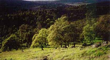 Spenceville - California Watchable Wildlife Viewing Site #268 | Sierra ...