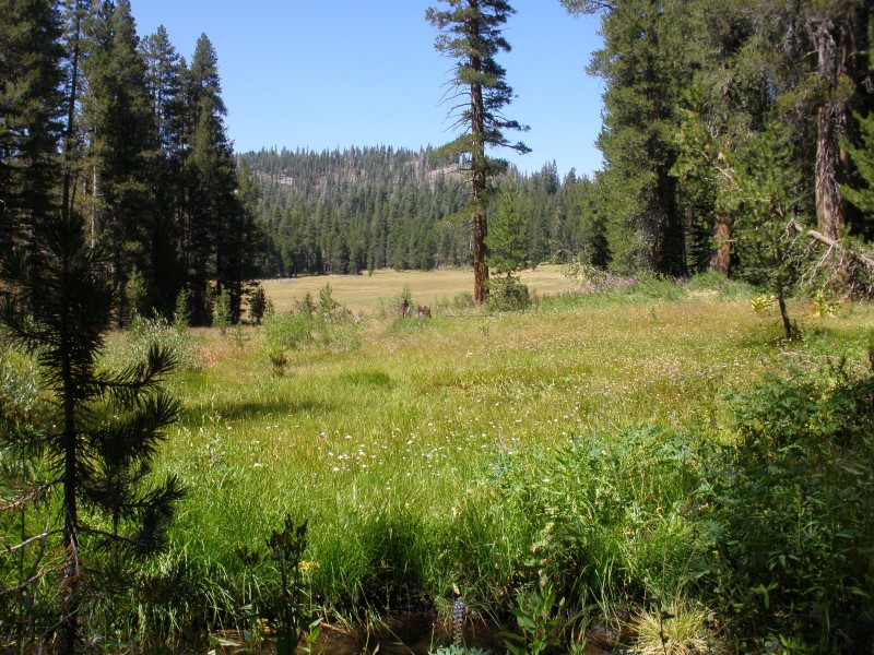 Kern Plateau, Sequoia National Forest | Sierra Nevada Geotourism