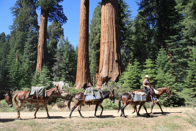 Balch Park Pack Station | Sierra Nevada Geotourism