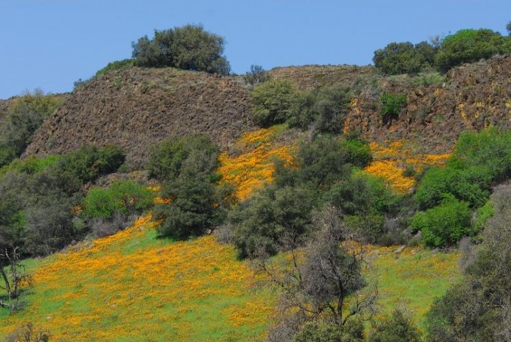 Wards Ferry Bridge Swimming Hole Tuolumne River | Sierra Nevada Geotourism