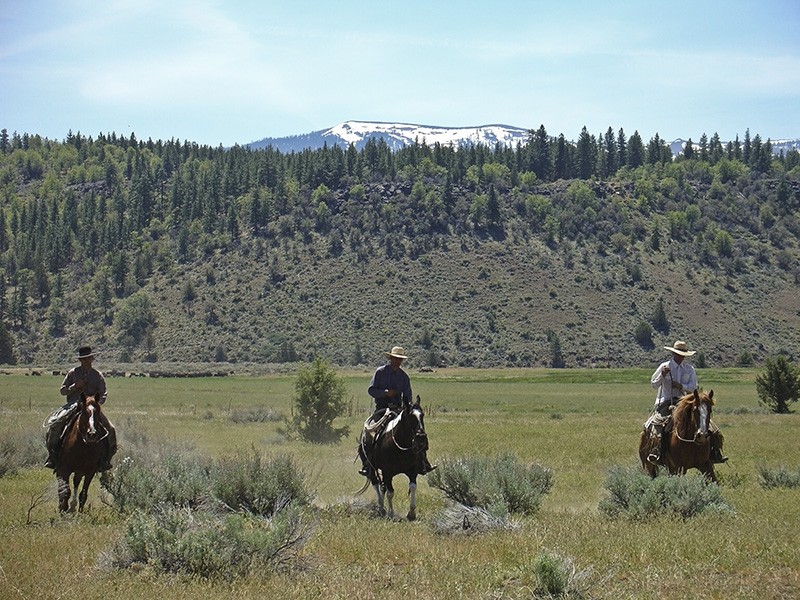 Susanville Ranch Park | Sierra Nevada Geotourism