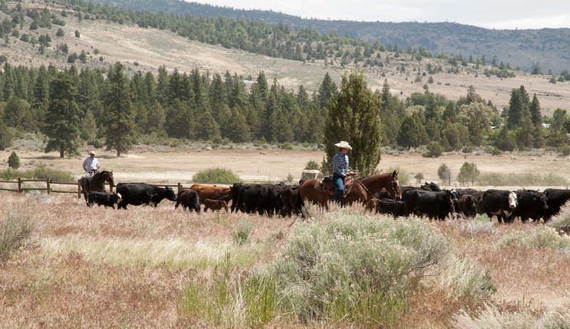 Susanville Ranch Park | Sierra Nevada Geotourism