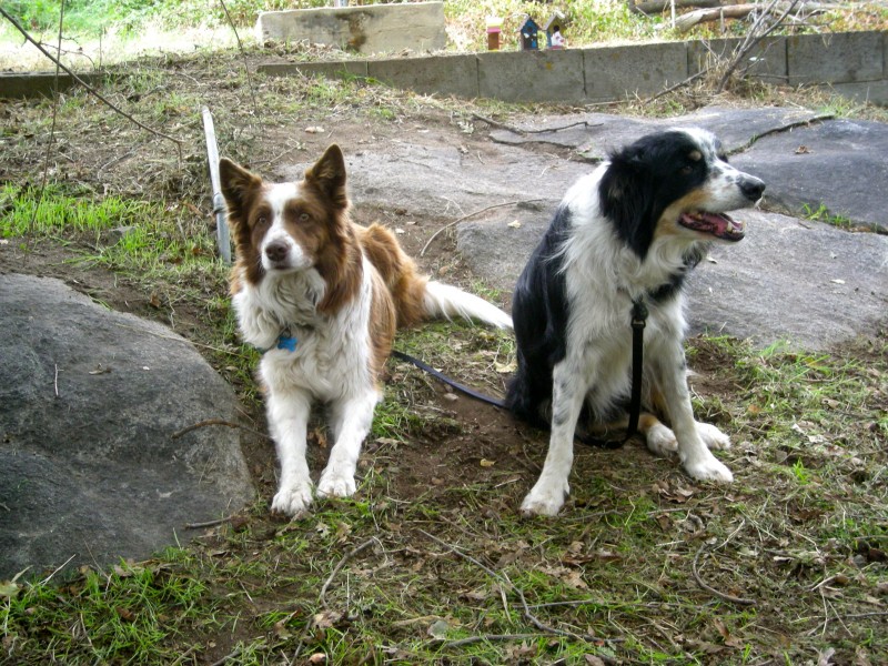 Kaweah Post Office | Sierra Nevada Geotourism
