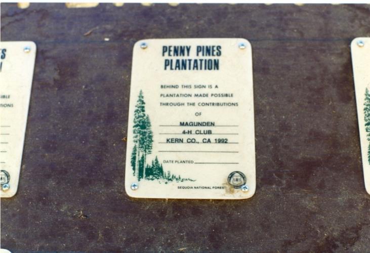 Penny Pines Program on the Kern River Ranger District of the Sequoia ...