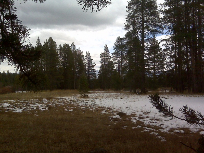 Donner Camp Trail at Alder Creek | Sierra Nevada Geotourism
