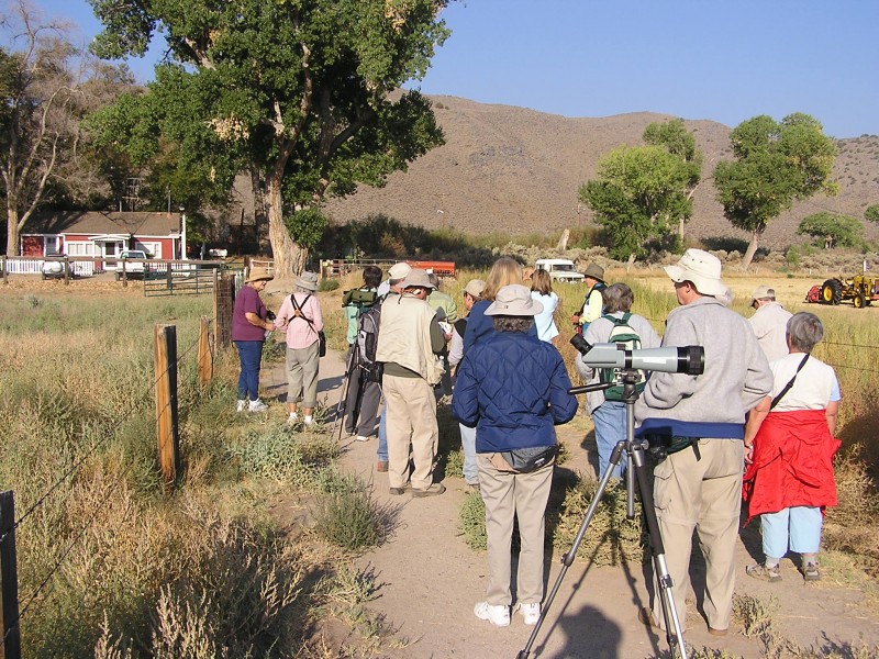 Silver Saddle Ranch | Sierra Nevada Geotourism