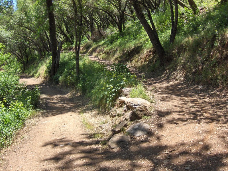 Dragoon Gulch Trail | Sierra Nevada Geotourism