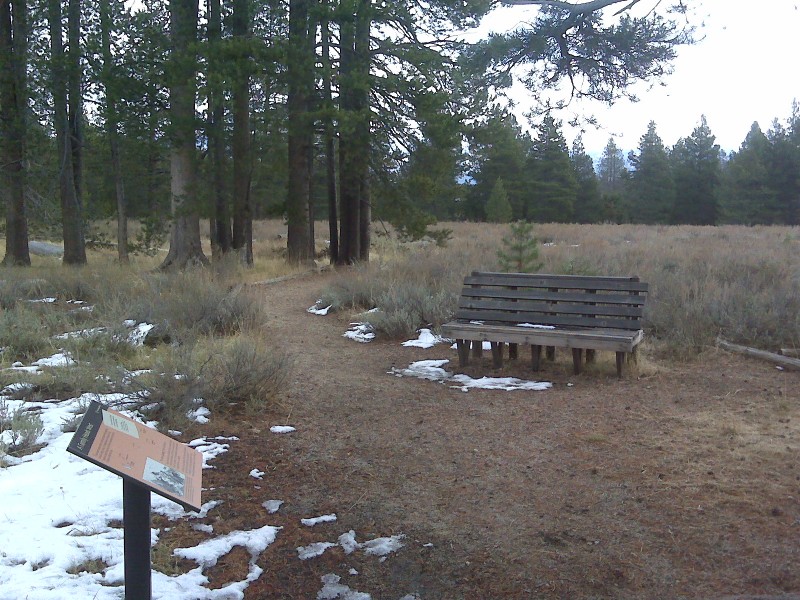 Donner Camp Trail at Alder Creek | Sierra Nevada Geotourism