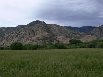 Canebrake Ecological Reserve | Sierra Nevada Geotourism