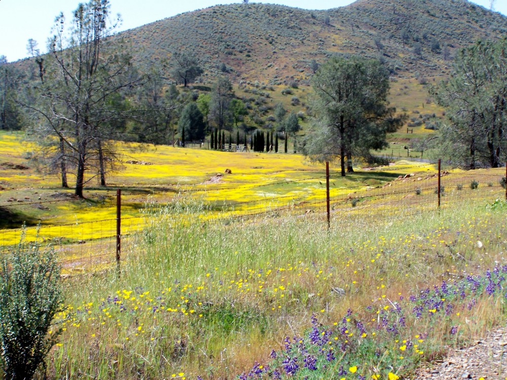 Red Hills Management and Recreation Area | Sierra Nevada Geotourism