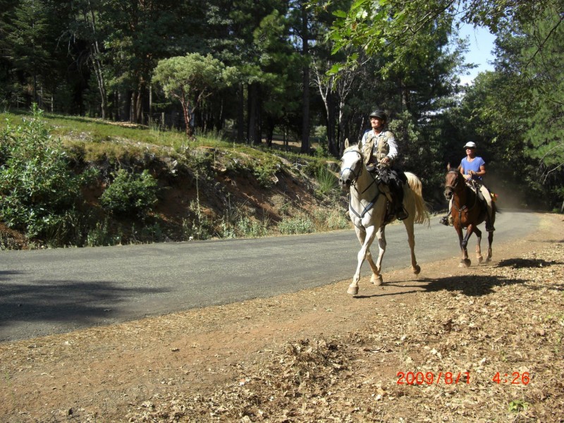 Tevis Cup Endurance Trail Ride | Sierra Nevada Geotourism