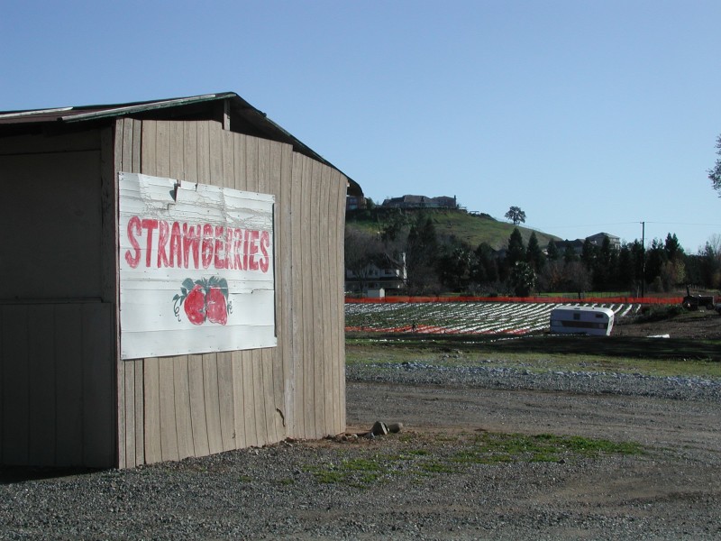 Mormon Island Relocation Cemetery | Sierra Nevada Geotourism