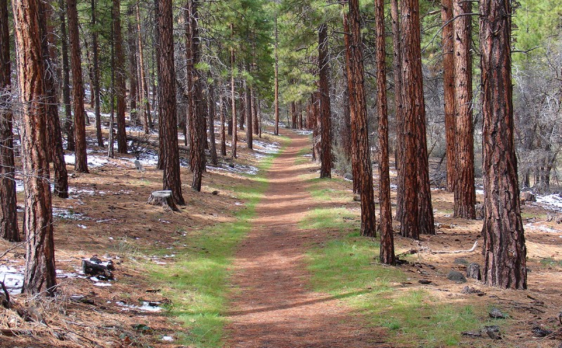 Susanville Ranch Park | Sierra Nevada Geotourism