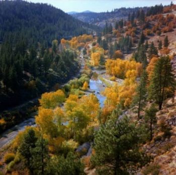Susan River - California Watchable Wildlife Trail #34 | Sierra Nevada ...