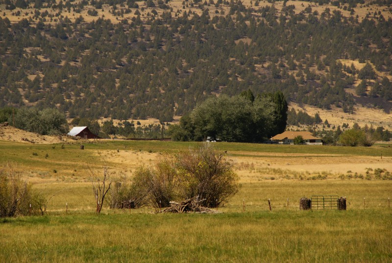Willow Creek Ranch | Sierra Nevada Geotourism
