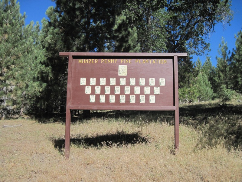 Penny Pines Program on the Kern River Ranger District of the Sequoia ...