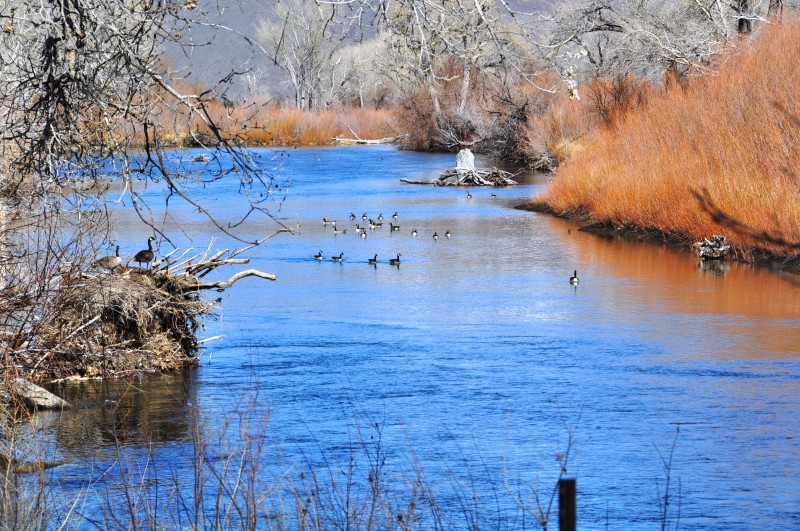 Silver Saddle Ranch | Sierra Nevada Geotourism