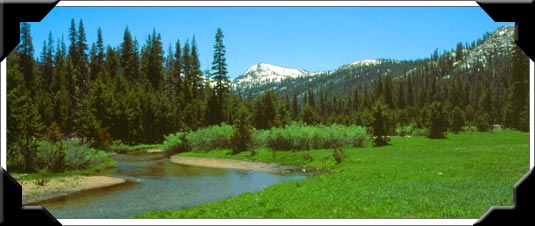Pacific Valley | Sierra Nevada Geotourism