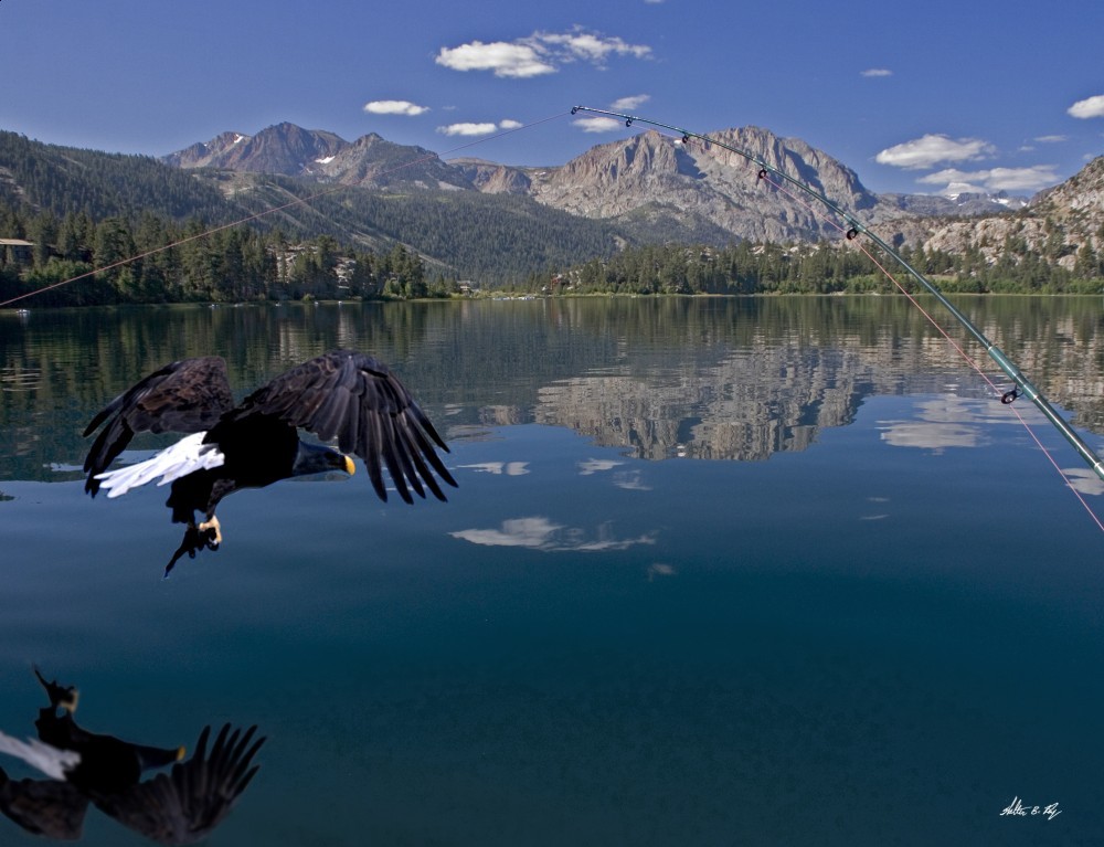 OH! Ridge | Sierra Nevada Geotourism