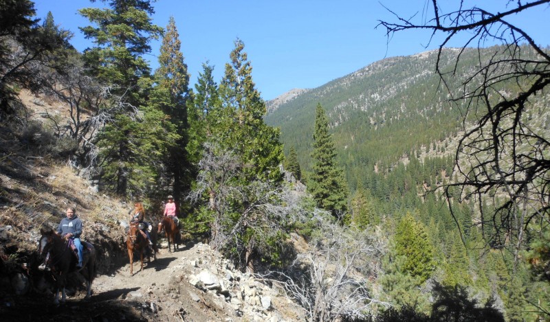 Genoa Trail System | Sierra Nevada Geotourism