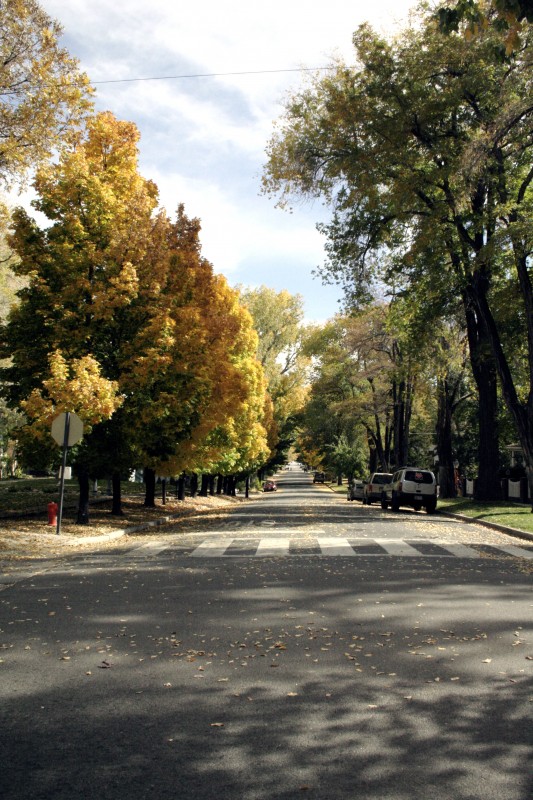 Kit Carson Trail, Carson City | Sierra Nevada Geotourism