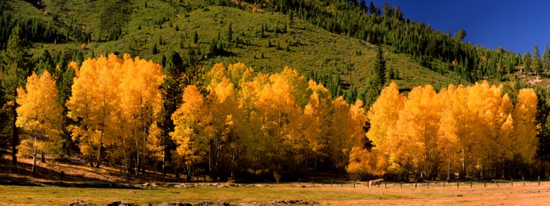 Sierra Valley, Sierra County, California | Sierra Nevada Geotourism