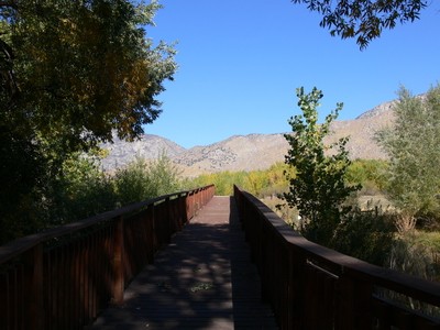 Canebrake Ecological Reserve | Sierra Nevada Geotourism