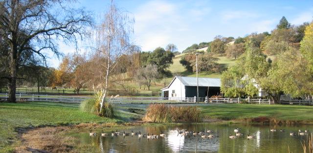 Penobscot Ranch - A Living Legacy to the Heritage of California ...