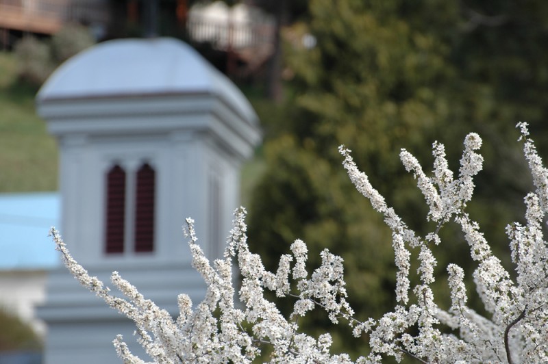 Downieville, California | Sierra Nevada Geotourism