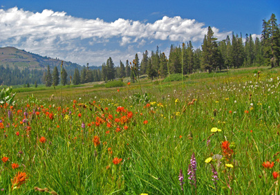 Meiss Meadow Sno-Park | Sierra Nevada Geotourism
