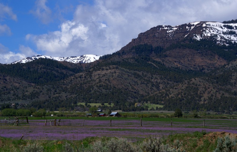 Modoc Outdoor Adventures | Sierra Nevada Geotourism