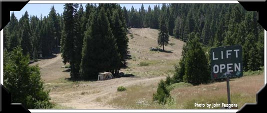 Cottage Springs | Sierra Nevada Geotourism