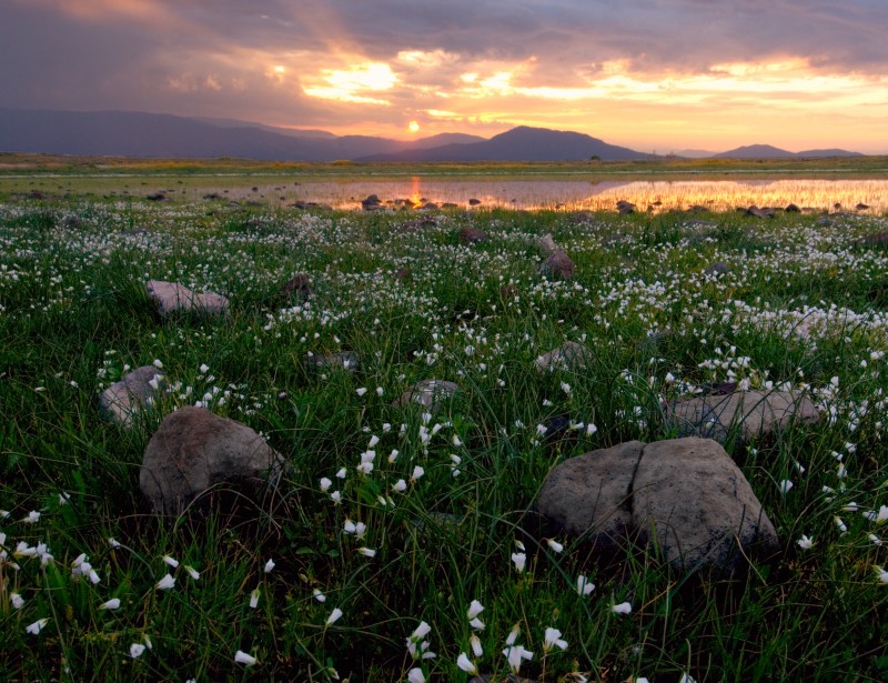 McKenzie Table Mountain Preserve | Sierra Nevada Geotourism
