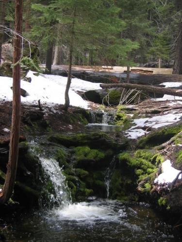 Kern Plateau, Sequoia National Forest | Sierra Nevada Geotourism