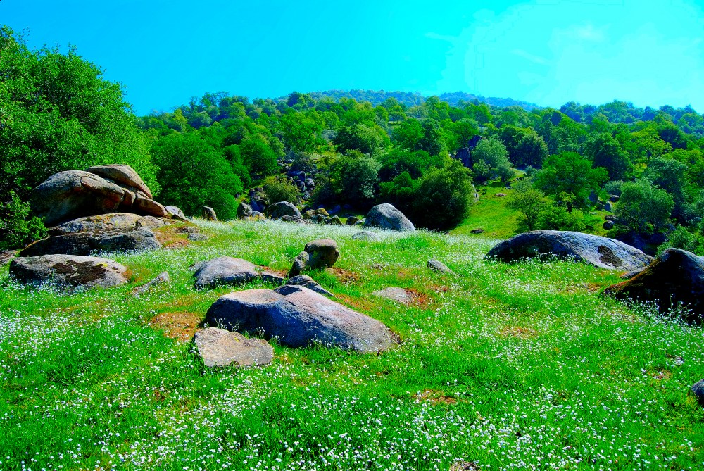 River Ridge Ranch | Sierra Nevada Geotourism