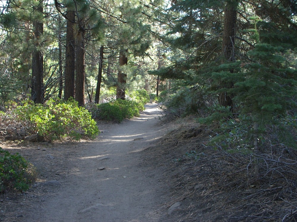 Galena Creek Recreation Area and Visitor Center | Sierra Nevada Geotourism